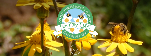 Bee City Eugene - what's next? - Beyond Toxics