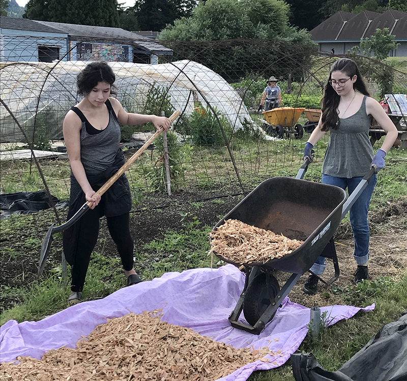 Jobs - Beyond Toxics