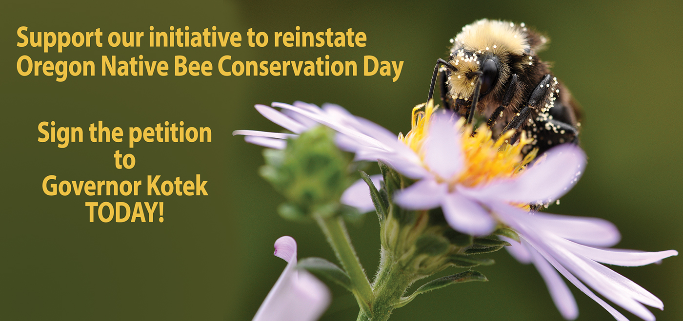 Home - Beyond Toxics