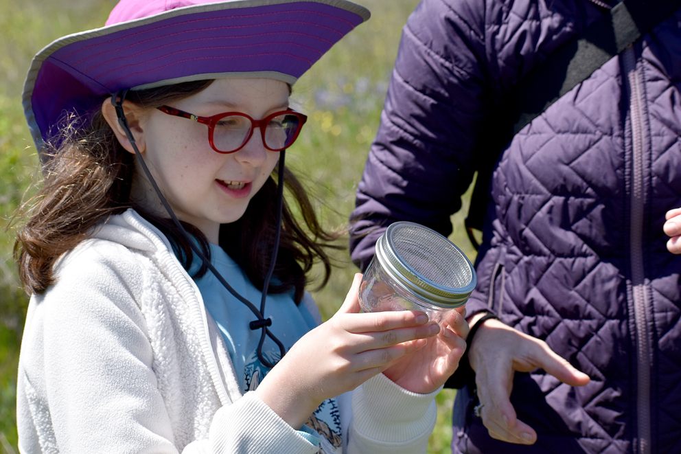 Buzzing with Excitement: Bee Surveys Reveal a Hidden World of Native Bee Riches! - Beyond Toxics
