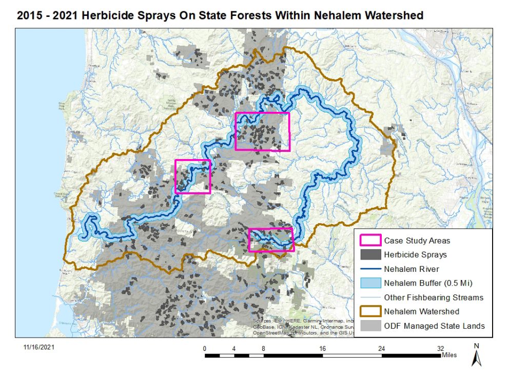 Blog | Beyond Toxics